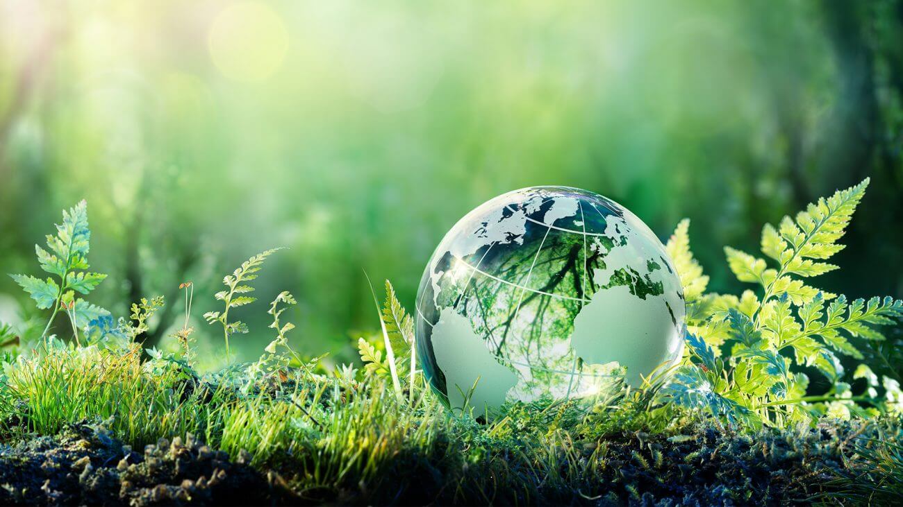 BASF Canada: Customer Sustainability Awards - Craftsman Collision